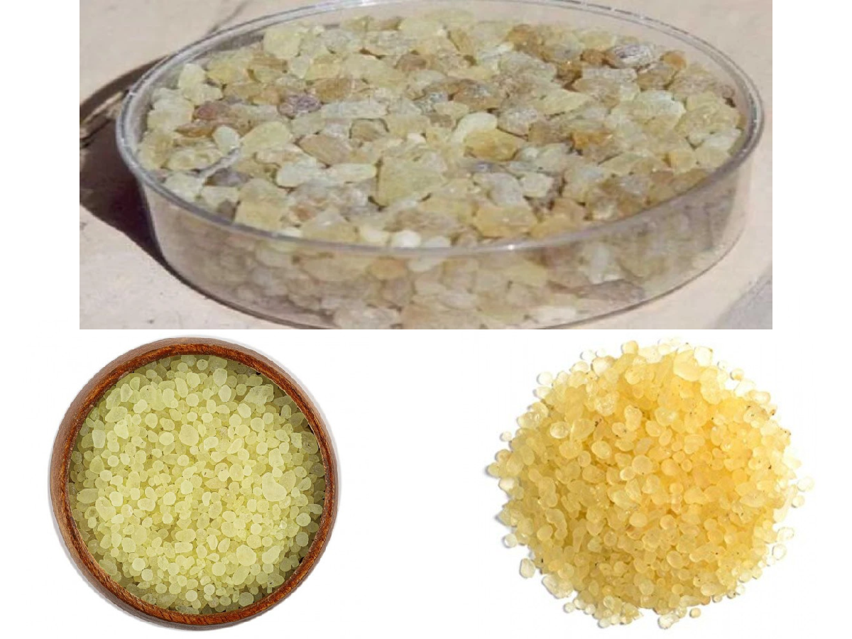 فوائد وأضرار وأسعار المستكة اليوم 2025 - في الكتالوج